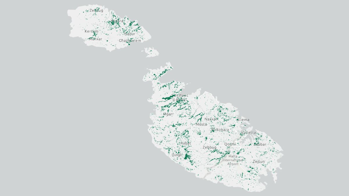 Malta Tree Canopy Cover 2020 - Research Innovation Unit